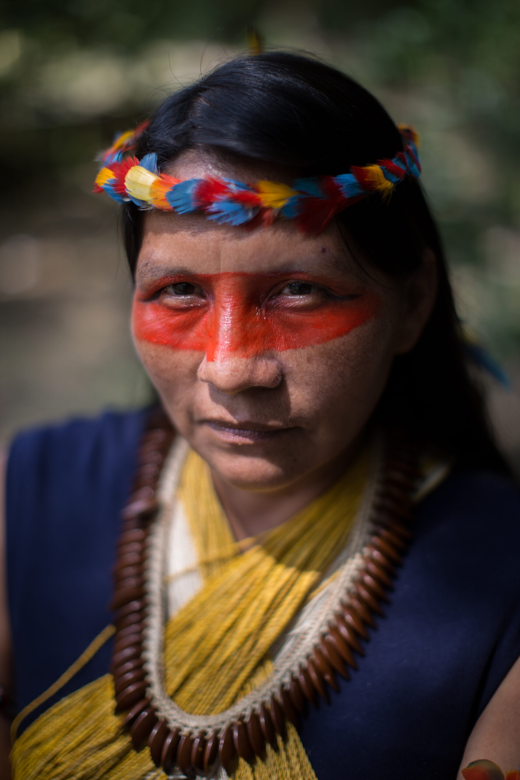 Protection of Indigenous Peoples in Voluntary Isolation and Initial ...